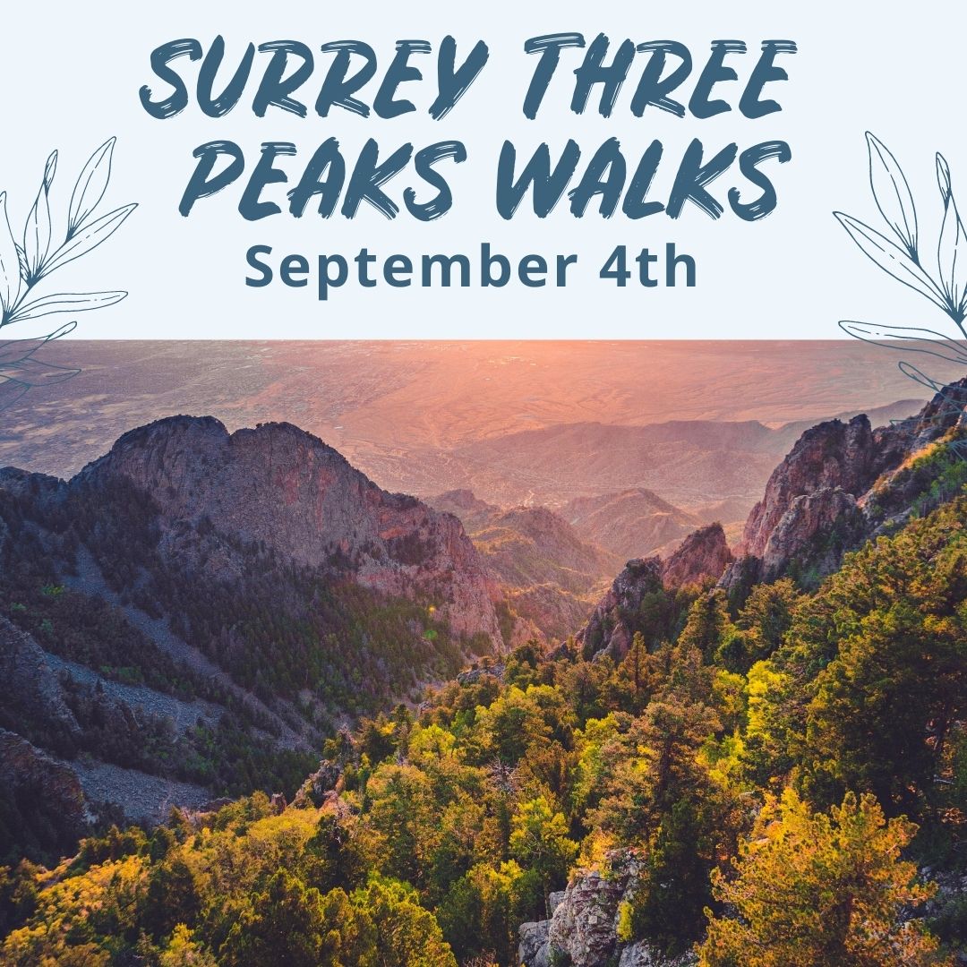 Surrey Three Peaks Walk 2021 - GRACE Charity